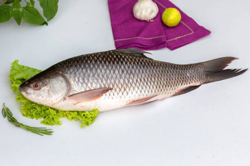 Larkana RAHU Fish 2kg (Meethay pani Ki machli) (Ahmed Foods)